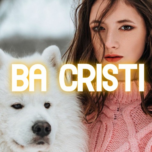 The Proposal Samoyed