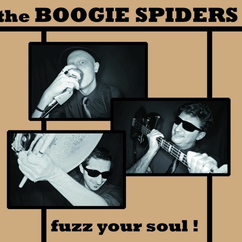 Stream We Are The Boogie Spiders by Boogie Spiders | Listen online for ...