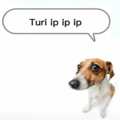 Stream turi ip ip ip but remix by goofy ahh me | Listen online for free on SoundCloud