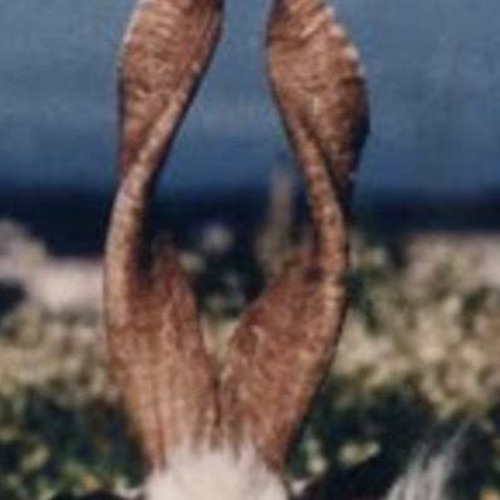 Stream AM After w/ AZD Unreal by Yateh 2 | Listen online for free on ...