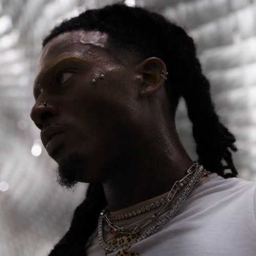 Stream "2024" (Extended Sample) - Playboi Carti [slowed] by wicked ...