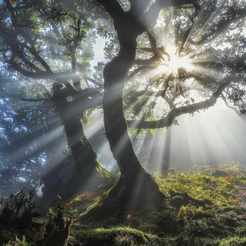 Stream Signs by SackBoy | Listen online for free on SoundCloud