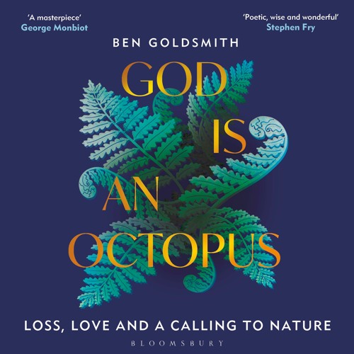 Stream God Is An Octopus by Ben Goldsmith, read by Simon Bubb by ...