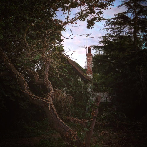 Stream origami bones | Listen to a portrait of my name in the window ...