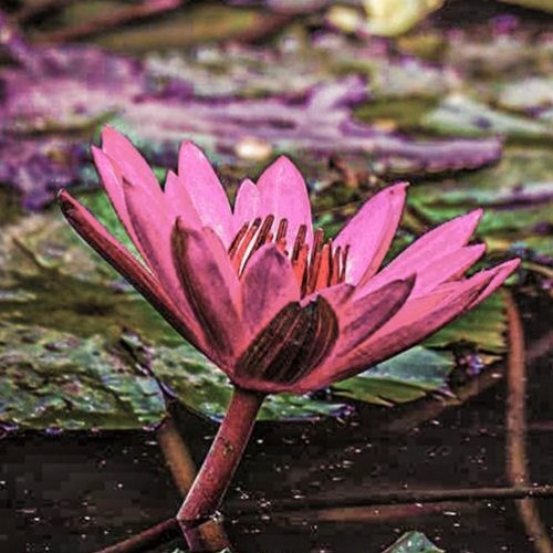 Stream SAD BOY by DST | Listen online for free on SoundCloud