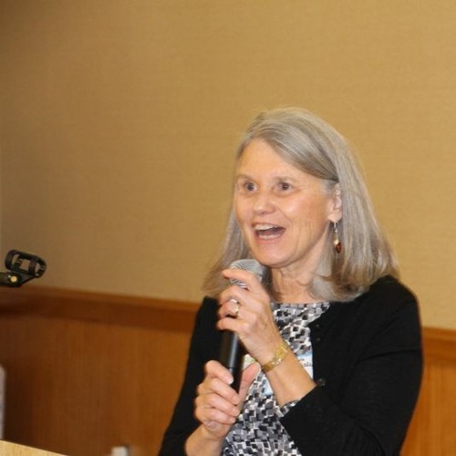 Stream Becky Rom Update Save The Boundary Waters by WTIP Community ...