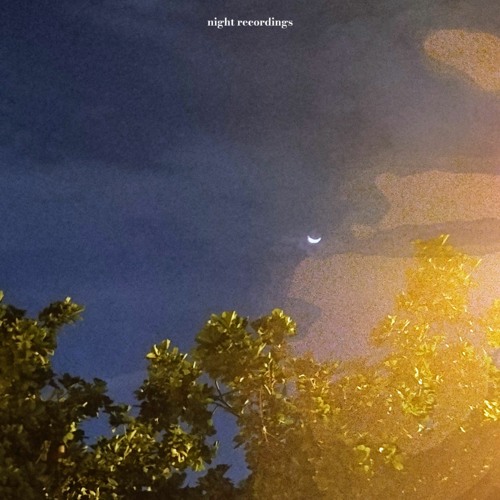 Stream moltenbuzden | Listen to night recordings playlist online for ...