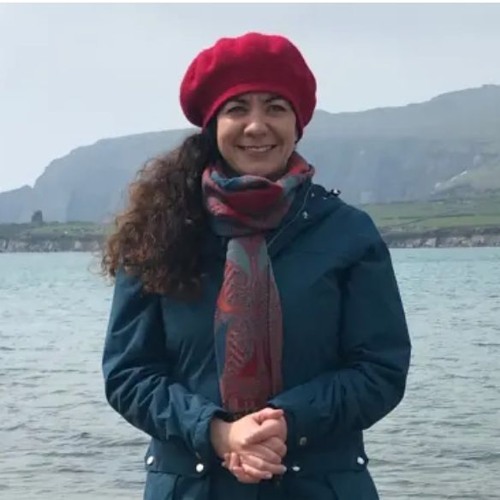 Stream The Ballybouncer by daragh dukes | Listen online for free on ...