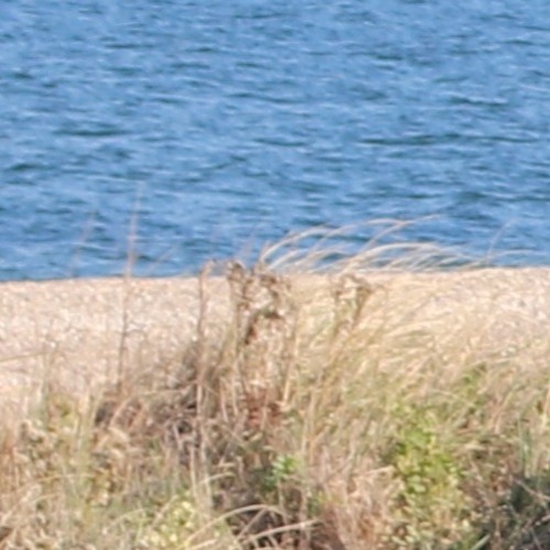 Stream For the Beauty of the Earth 4:30 by Michael Bussewitz-Quarm ...