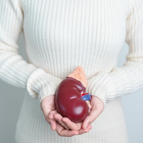 Stream Woman’s pet dog saves her life after 'finding' matching kidney ...