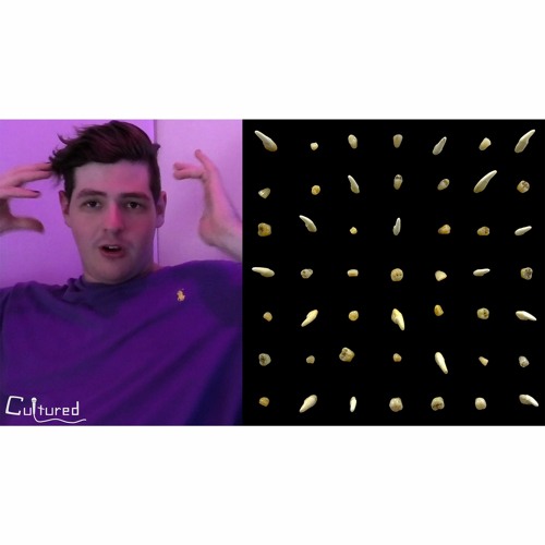 Stream clipping.'s Visions of Bodies Being Burned | Album Review by ...