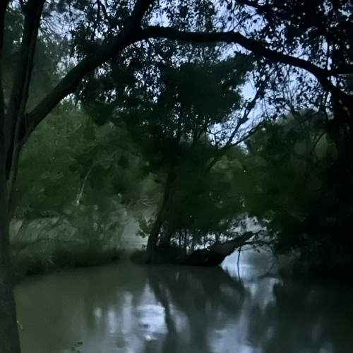 Stream night fall by gn | Listen online for free on SoundCloud