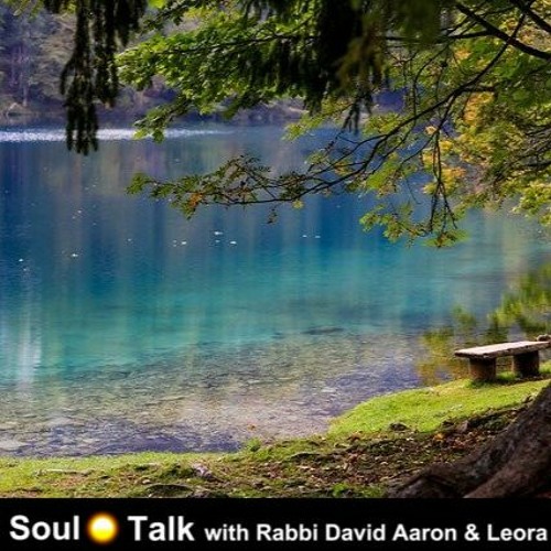 Stream How To Thrive In Times Of Strife - Soul Talk by Israel News Talk ...