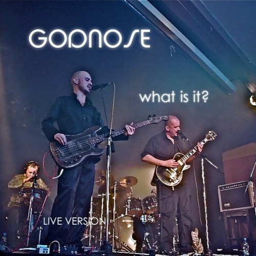 Stream WHAT IS THIS - GODNOSE (MASTER VERSION) by Alex Saloff | Listen ...