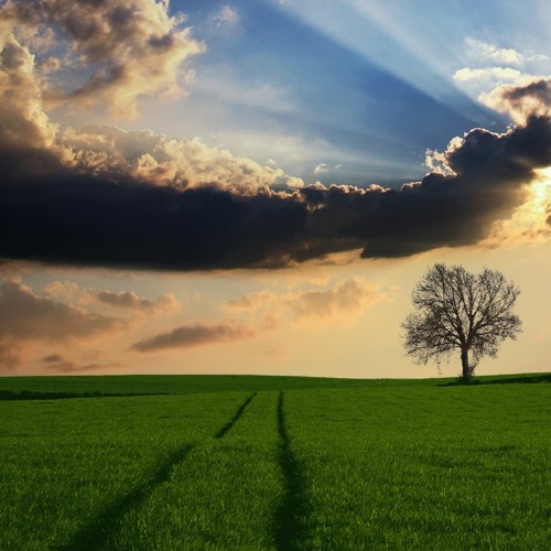 Stream RRC in Conversation: Jillian Byers, Andrea Stroeve-Sawa and ...