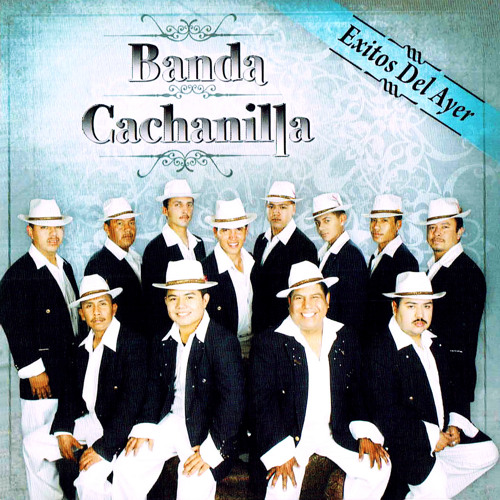 Stream Ceviche de Camaron by Banda Cachanilla | Listen online for free ...