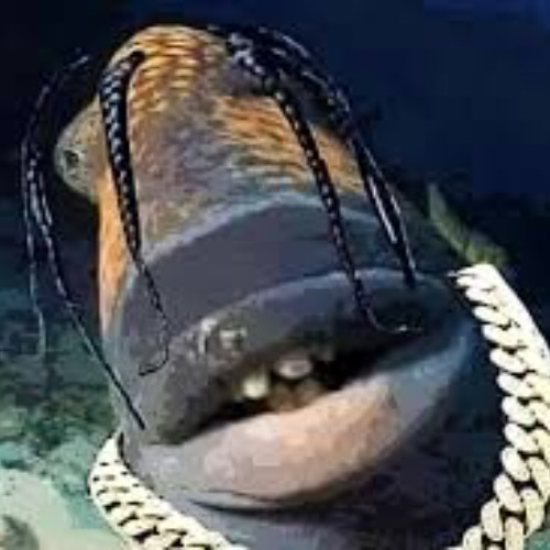 Stream im a fish by Timmy Tough-knuckles | Listen online for free on ...