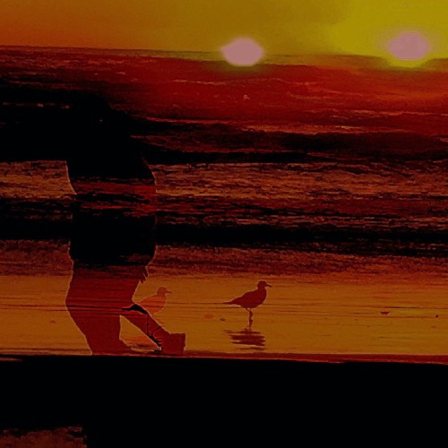 Stream Fun With Teeth - jeth row phase wave by PEDICURE RECORDS ...