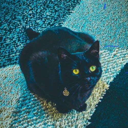 Stream Ash Stone - The Matrix by Ash Stone | Listen online for free on ...