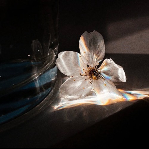 Stream Amanda Allen | Listen to lights out playlist online for free on ...