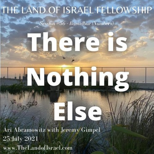 Stream There is Nothing Else: The Land of Israel Fellowship by The Land ...
