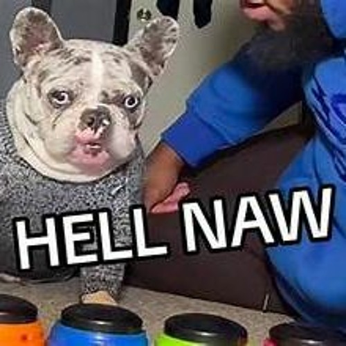 Stream HE HE HELL NAW!! (CLIP) [FOR SALE] by FlipSwitch | Listen online ...