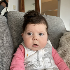 Renee Shepherd's Instagram, Twitter & Facebook on IDCrawl