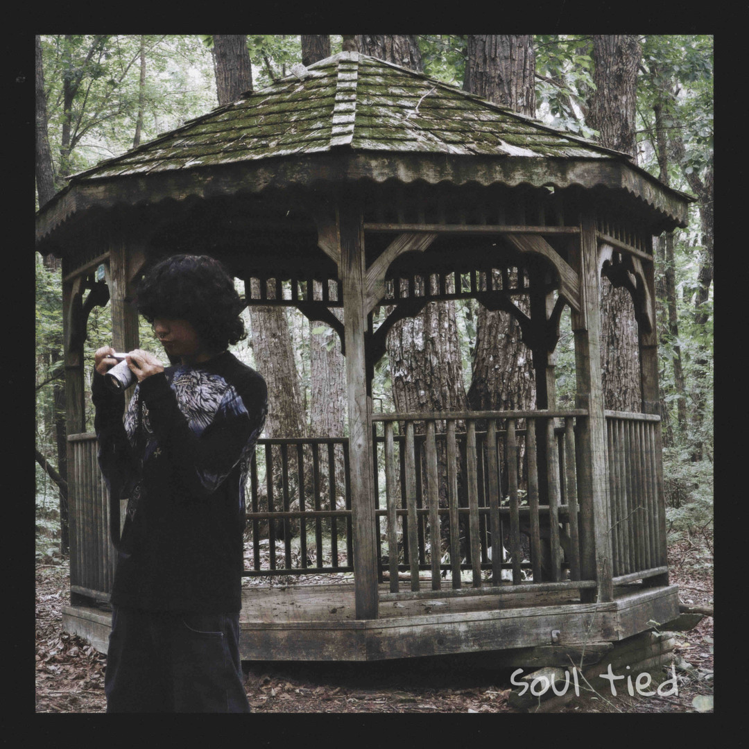 Stream sphynx | Listen to soul tied playlist online for free on SoundCloud
