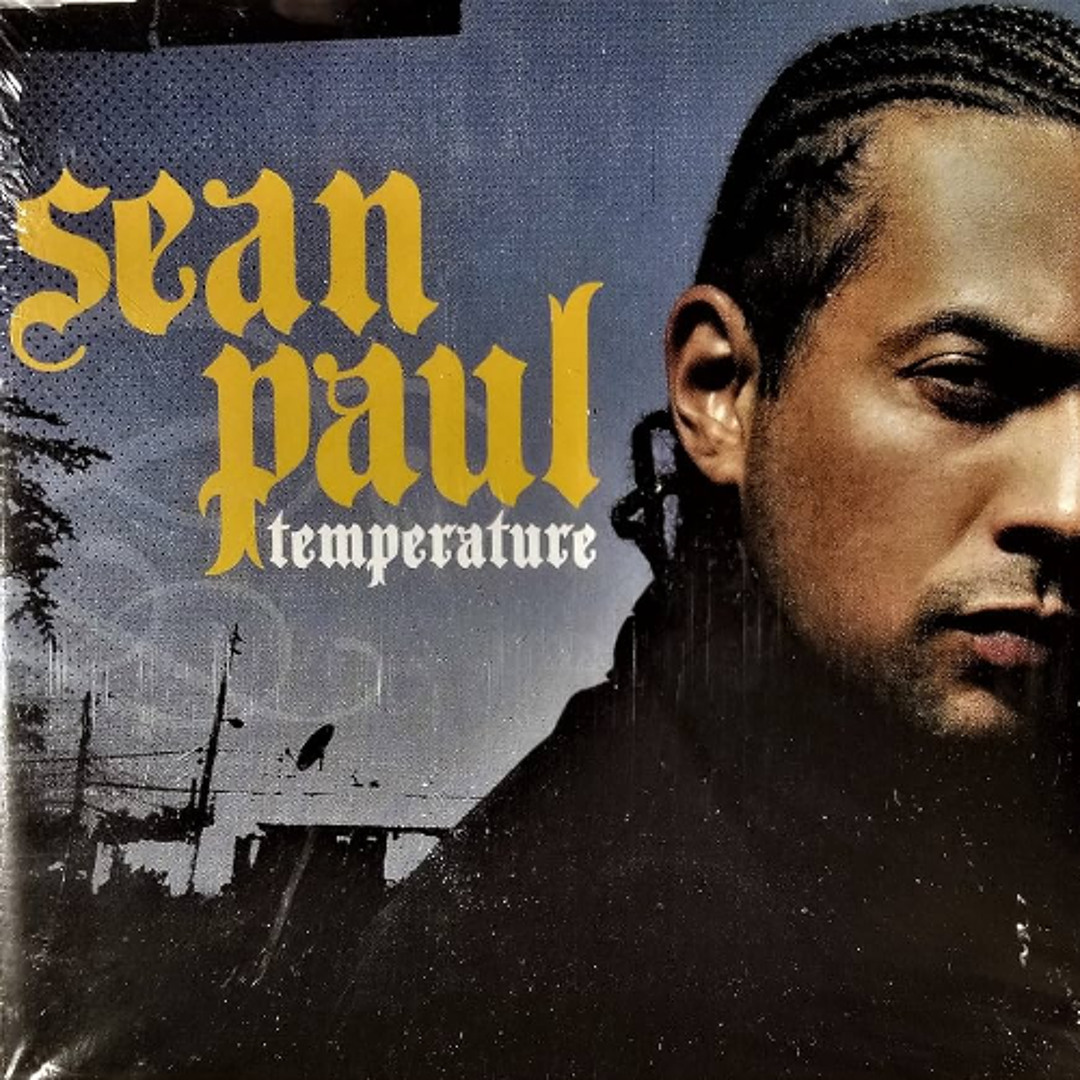 Stream Sean Paul - Temperature (Rops and Charles 'I Could Be The One ...