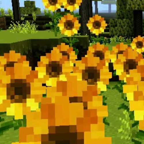 Stream jxyvior | Listen to Sunflower Seeds playlist online for free on ...
