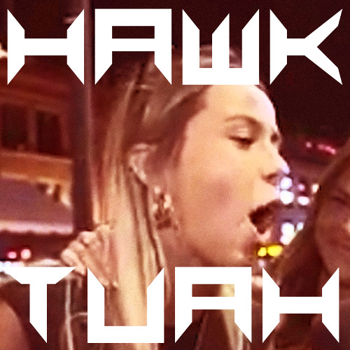 Stream Hawk Tuah (Original meme) by Gork | Listen online for free on ...