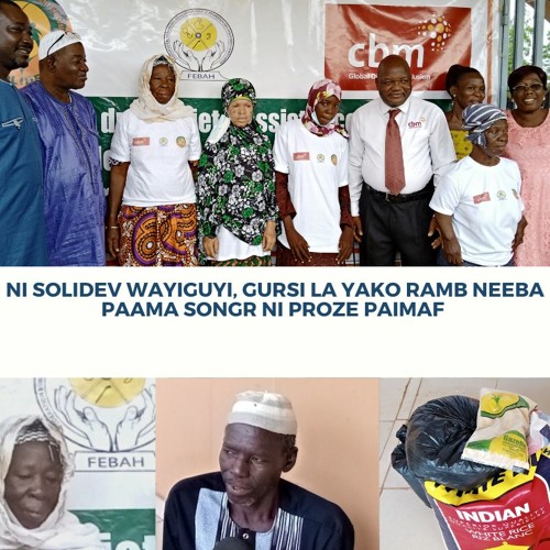 Stream Lancement du projet PAIMAF-NORD by Sami Achille DAH | Listen ...