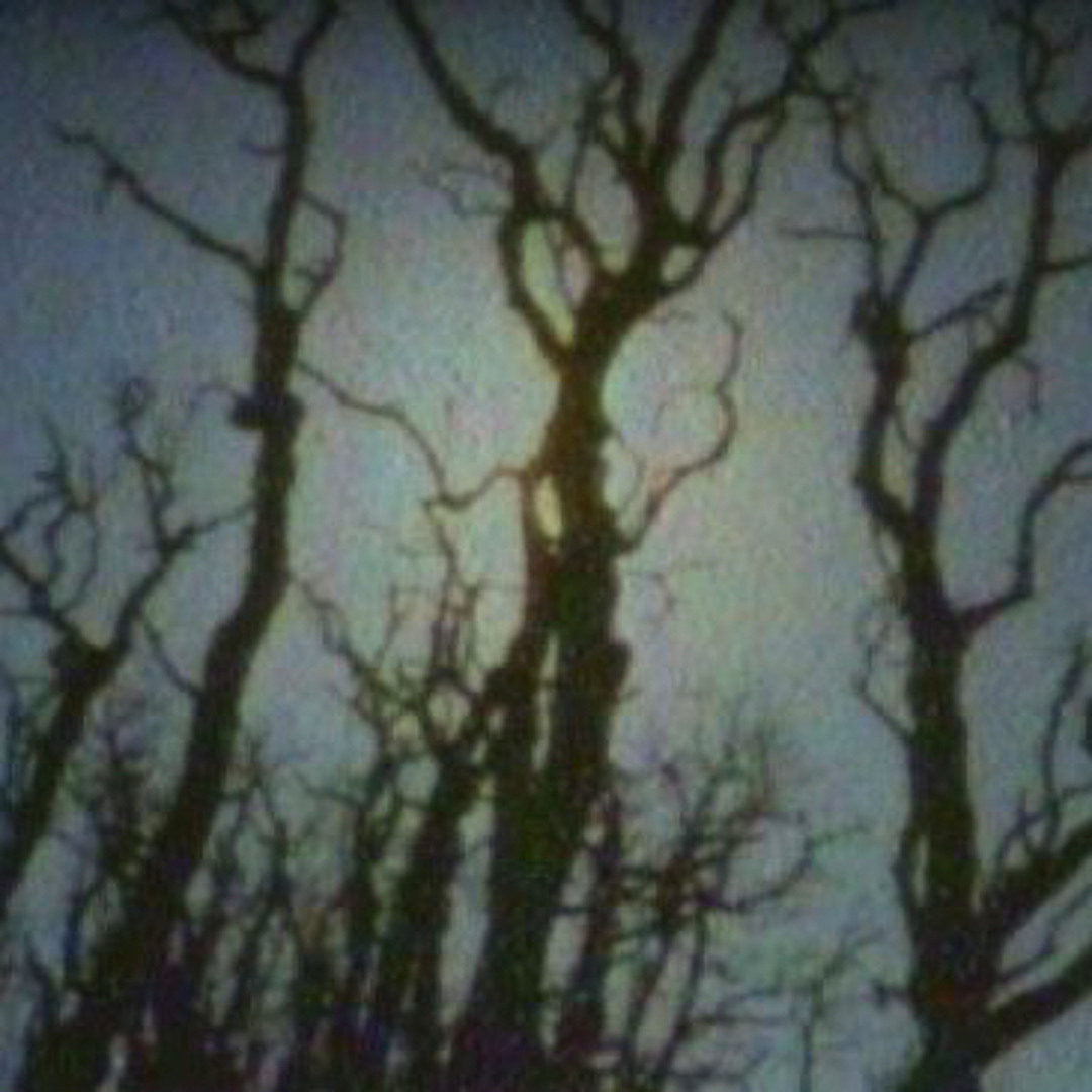 Stream 𝘏𝘐𝘎𝘏𝘞𝘈𝘠- 𝘦𝘭𝘶𝘴𝘪𝘯 (𝘚𝘓𝘖𝘞𝘌𝘋 + 𝘳𝘦𝘷𝘦𝘳𝘣) by ☻bleakaboo | Listen online ...