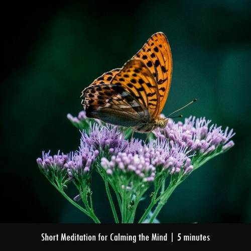 Stream Short Meditation for Calming the Mind | 5 minutes by Guided ...