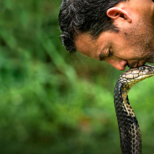 Stream David Blaine Do Not Attempt; Season 1 Episode 3 FullEpisodes ...