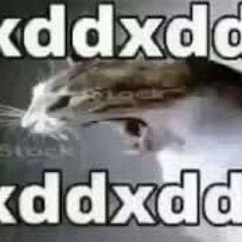 Stream Gato riendose Meme by NICOLAS ANDRES ROJAS | Listen online for ...