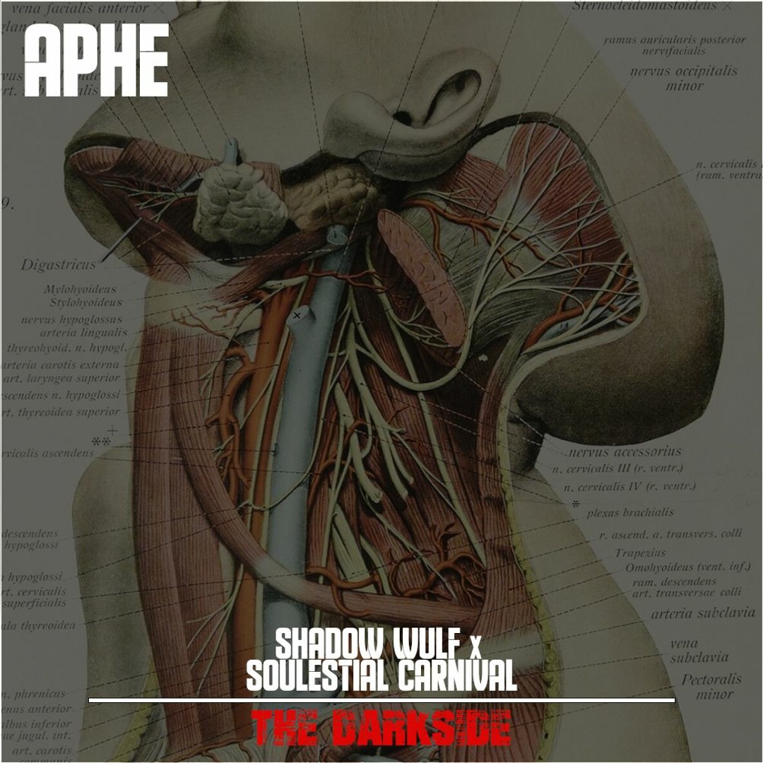 Stream APHE - Live @ The Darkside [03.18.23] by SHADOW WULF RECORDS ...