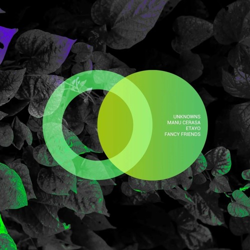 Stream UnknownS & Manu Cerasa & Etayo - Fancy Friends by UnknownS ...