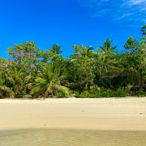 Stream Everything You Need To Know by Shay Oren | Listen online for ...