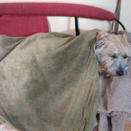 Stream Paradise - copyright sjgilbert 2024 by Steven Gilbert | Listen ...