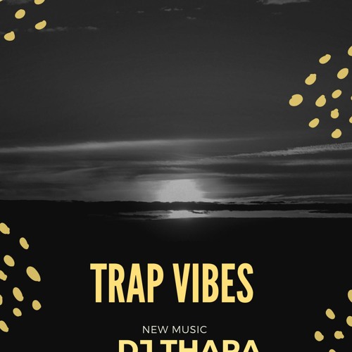 Stream Trap Vibes MUSIC by Dj Thapa | Listen online for free on SoundCloud