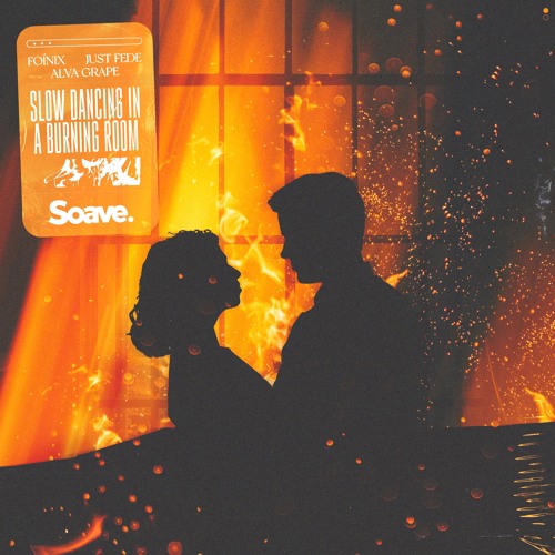 Slow Dancing In A Burning Room Album