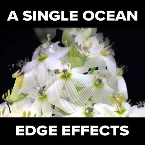 Stream A Single Ocean - Edge Effects by A Single Ocean | Listen online ...