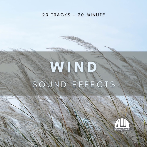 Stream Gravity Sound | Listen to Wind Sound Effects playlist online for ...