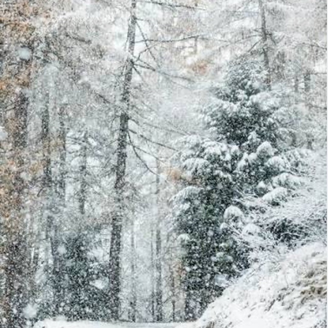 Stream djaylan’s playlist | Listen to White Girl Jam playlist online ...