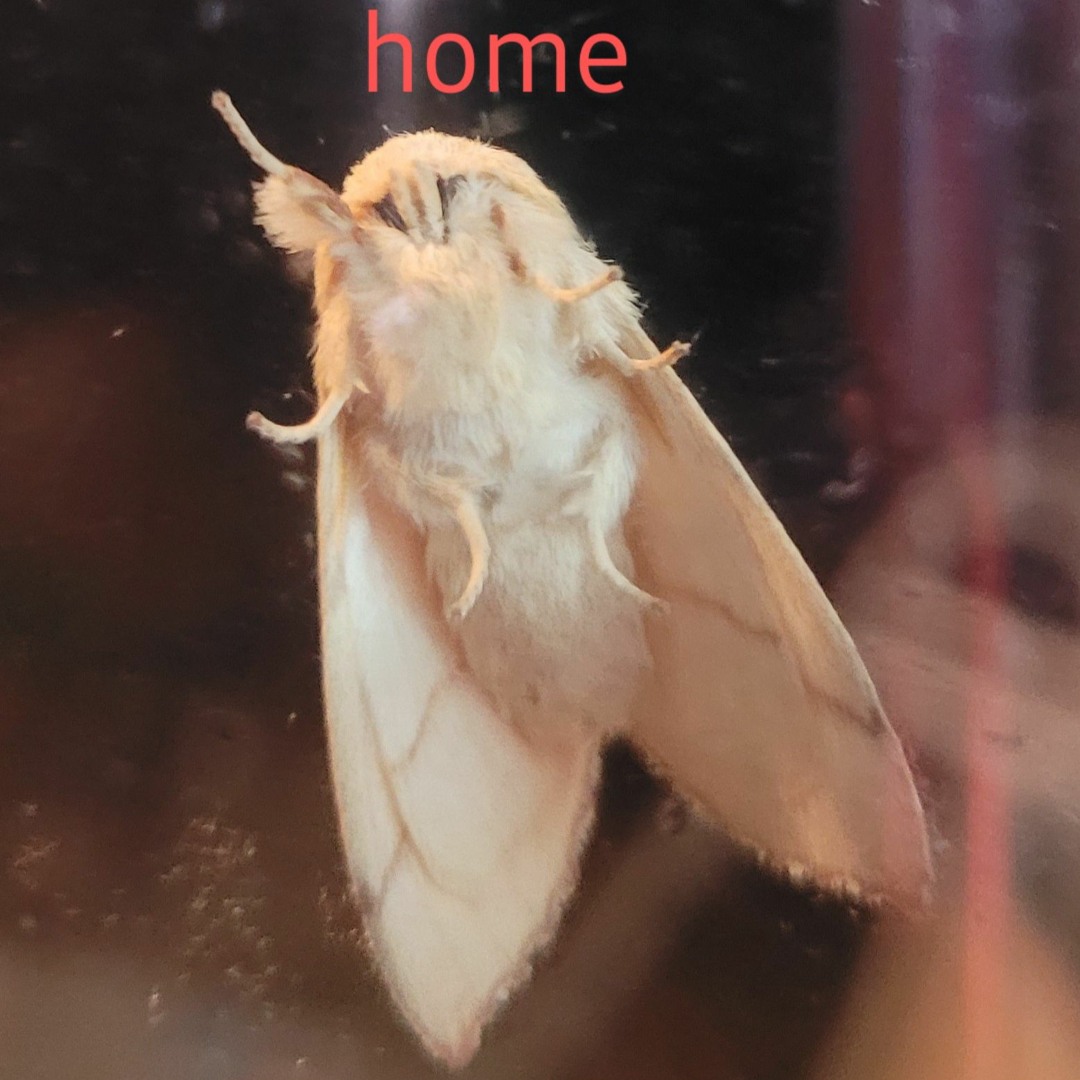 Stream Bbbbbbbbb By Chakky Listen Online For Free On Soundcloud