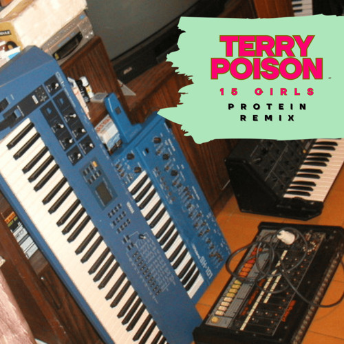 Stream 15 Girls (Protein Remix) by Terry Poison | Listen online for ...