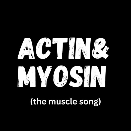 Stream Actin & Myosin (the muscle song) by JOLLAND | Listen online for ...