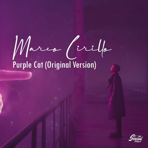 Stream Marco Cirillo - Purple Cat (Original Version) by Marco Cirillo | Listen online for free ...