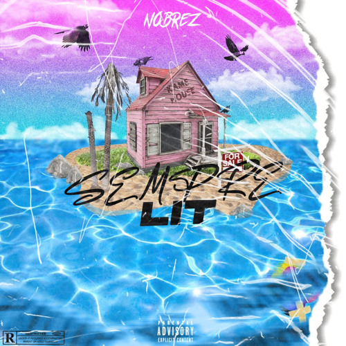 Stream NBZ OFICIAL | Listen to [TRAP🏚] playlist online for free on ...